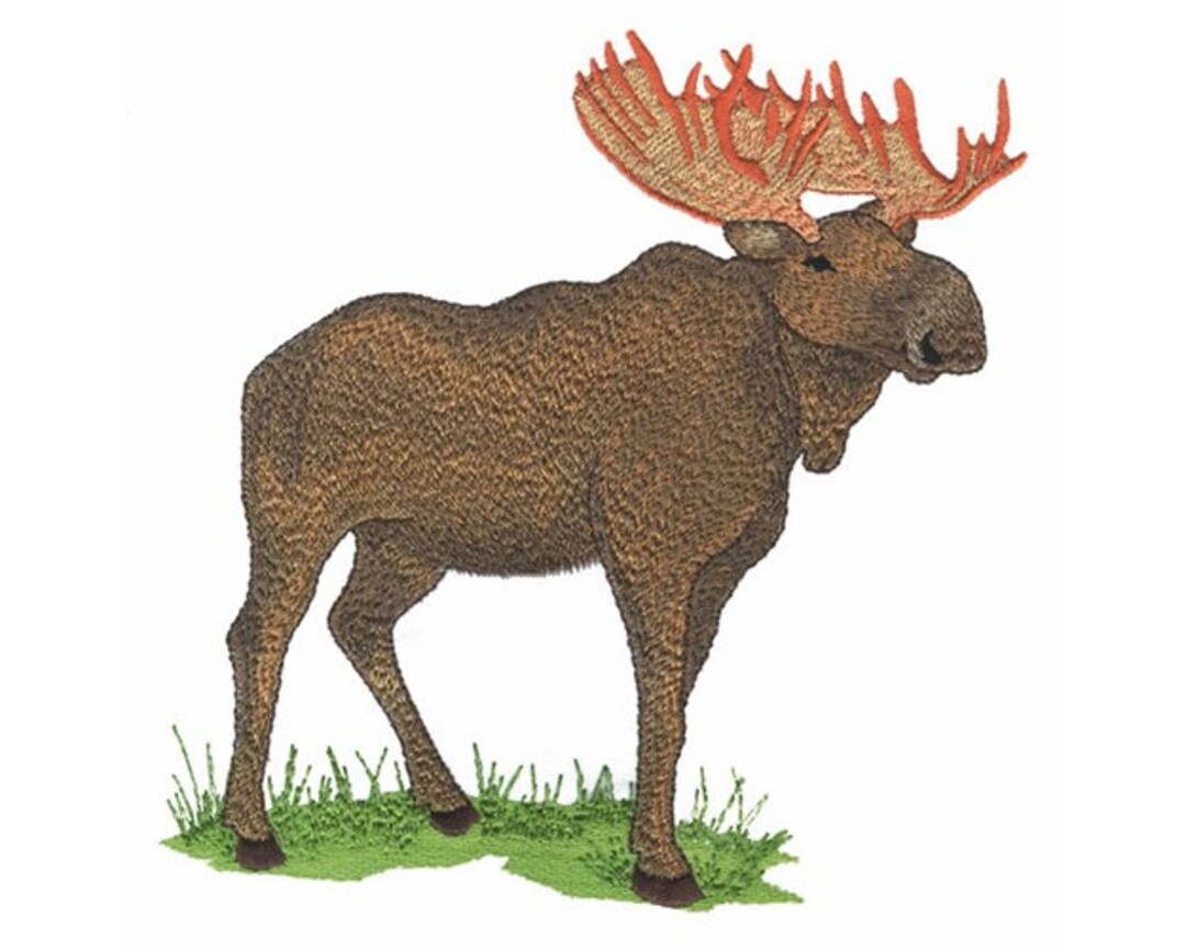 Moose - Machine Embroidery Design - Etsy