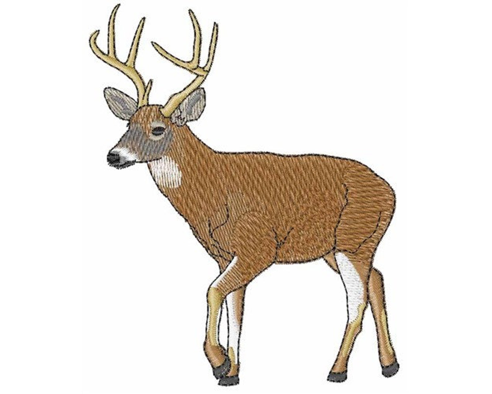 Whitetail Deer - Machine Embroidery Design - Etsy
