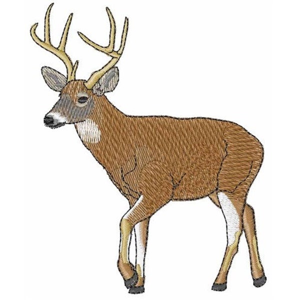 Whitetail Deer - Etsy