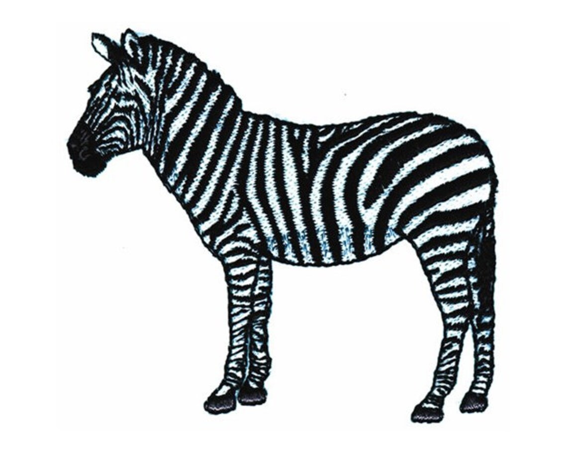 Zebra Machine Embroidery Design - Etsy