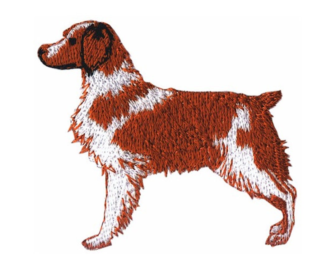 English Springer Spaniel - Machine Embroidery Design - Etsy