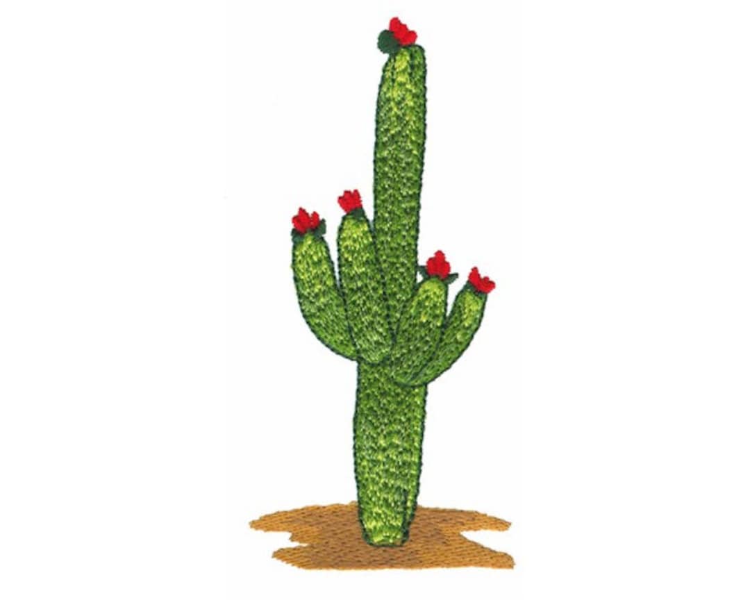 Cactus - Machine Embroidery Design - Etsy