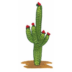Cactus - Machine Embroidery Design - Etsy