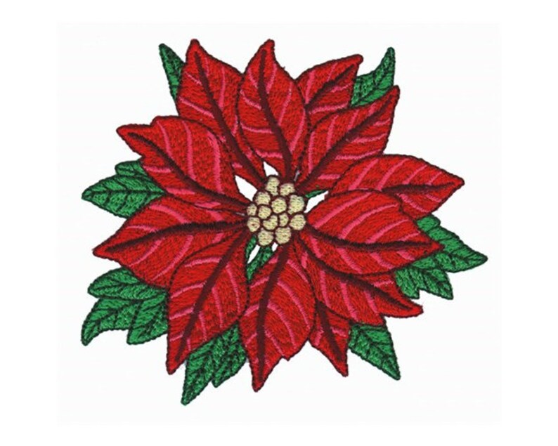Poinsettia Machine Embroidery Design - Etsy