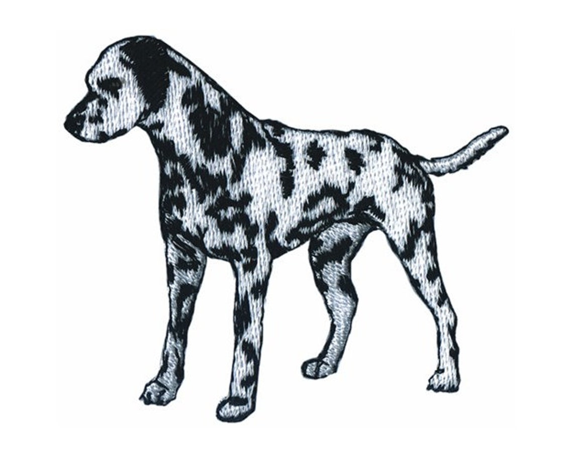 Dalmatian Machine Embroidery Design - Etsy