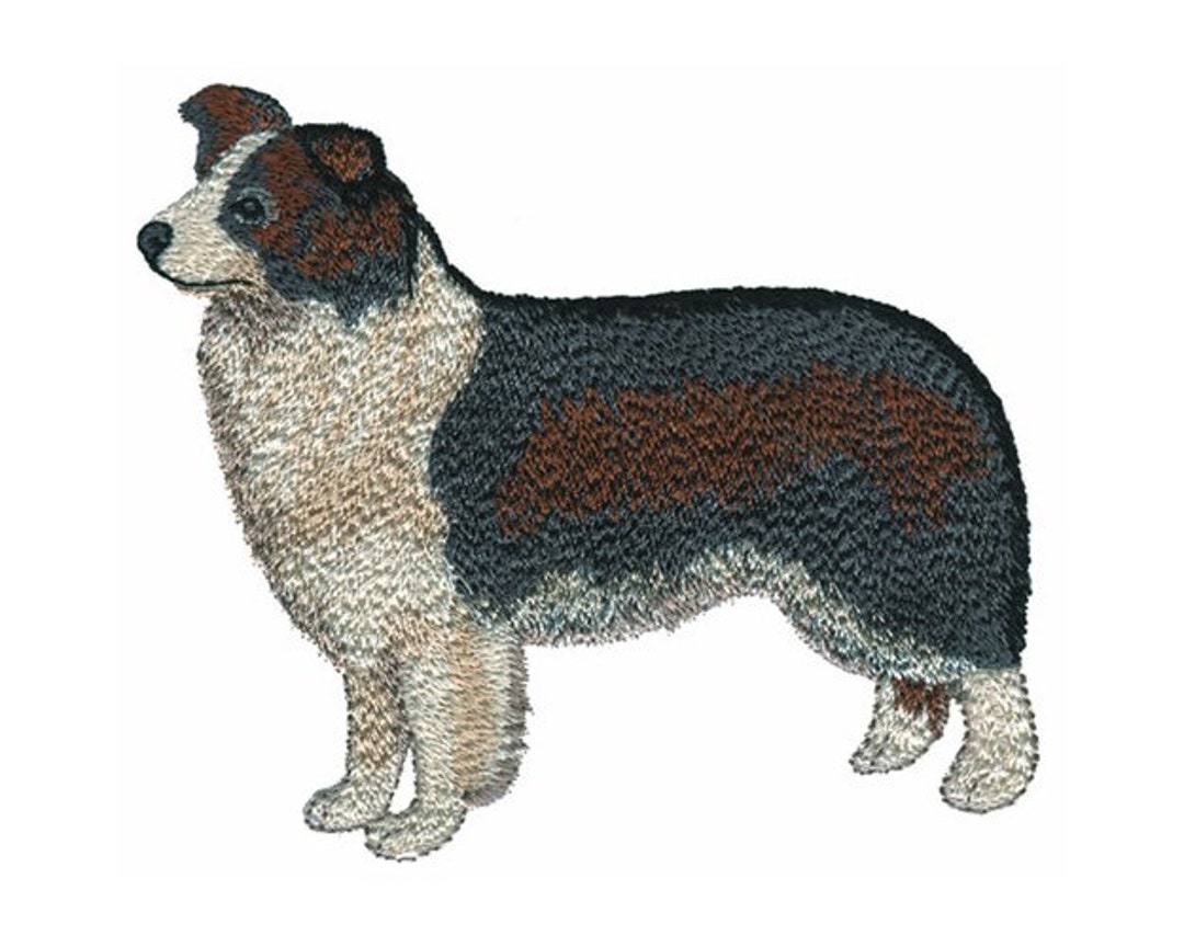 Border Collie Machine Embroidery Design - Etsy