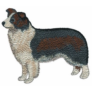 Border Collie Machine Embroidery Design - Etsy