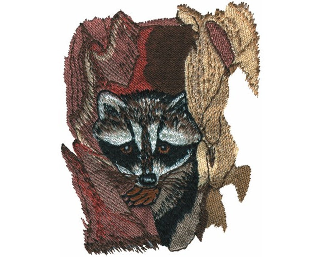 Raccoon - Machine Embroidery Design - Etsy