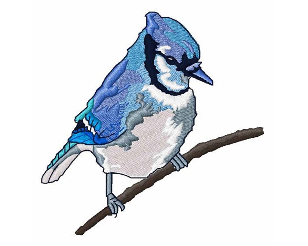 Blue Jay Machine Embroidery Design - Etsy