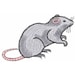 Rat - Machine Embroidery Design - Etsy