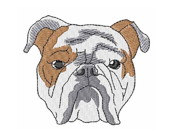 English Bulldog Head Machine Embroidery Design - Etsy