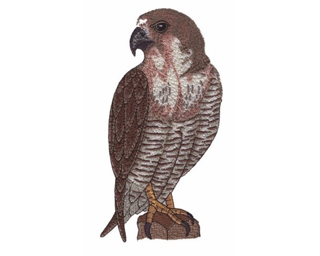 Falcon - Machine Embroidery Design - Etsy
