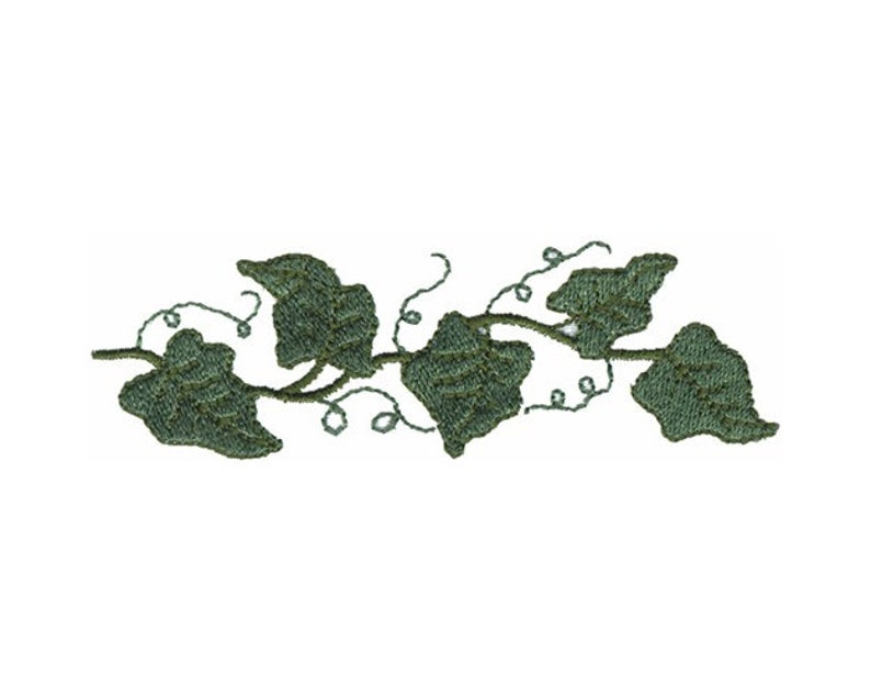 Vine Machine Embroidery Design - Etsy