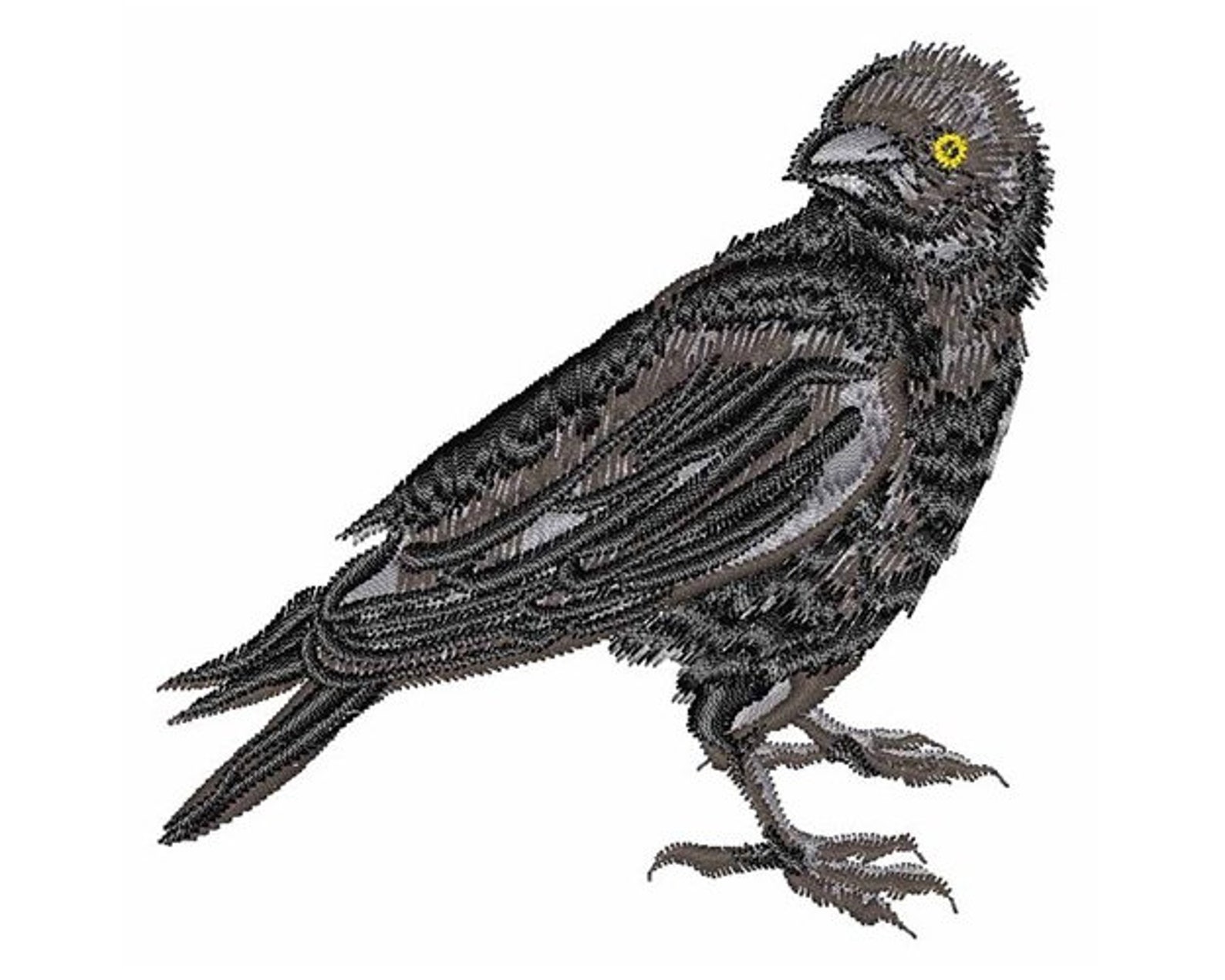 American Crow - Machine Embroidery Design - Etsy