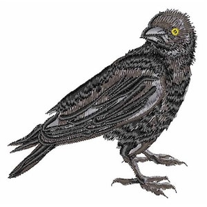 American Crow - Machine Embroidery Design - Etsy