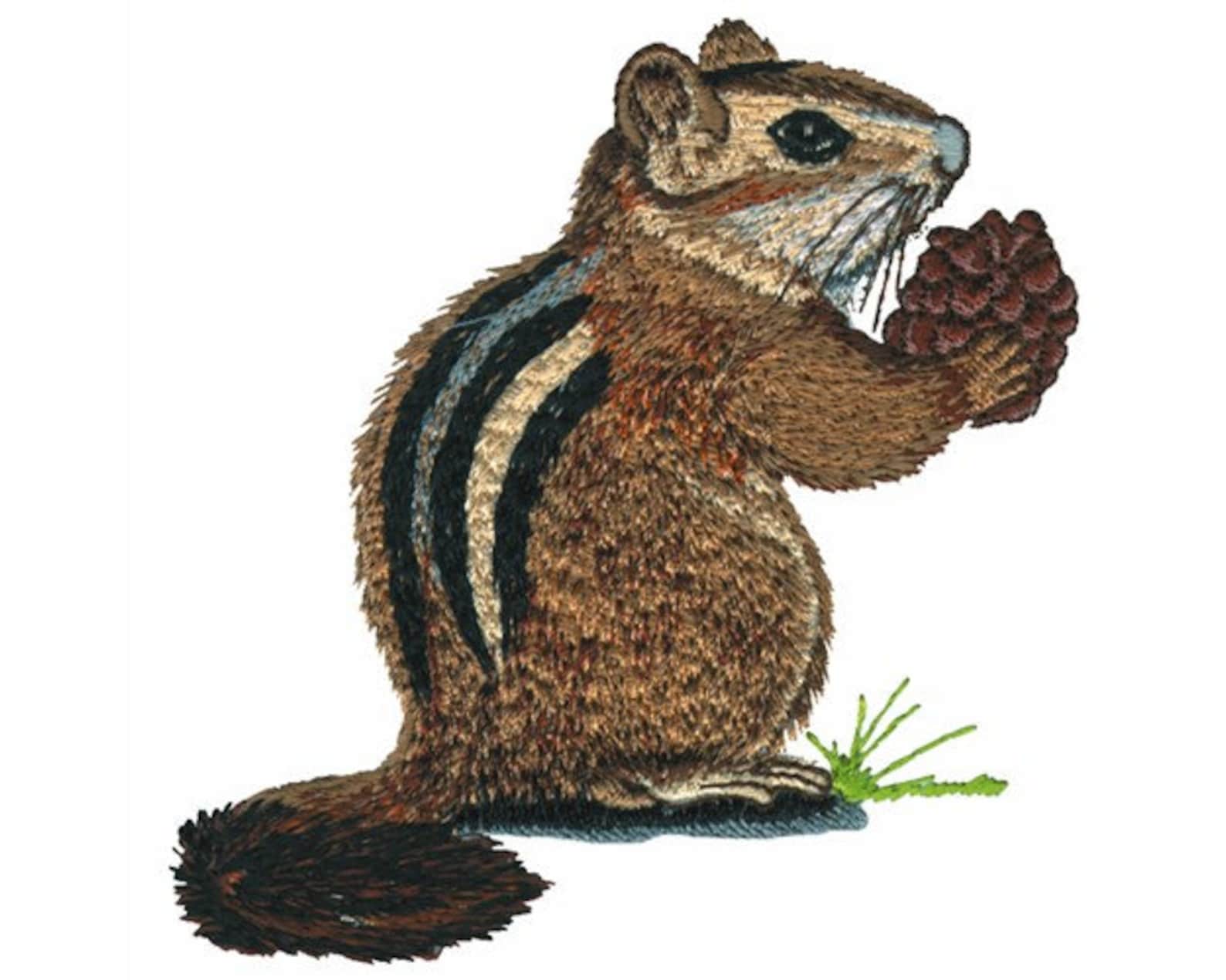 Chipmunk - Machine Embroidery Design - Etsy