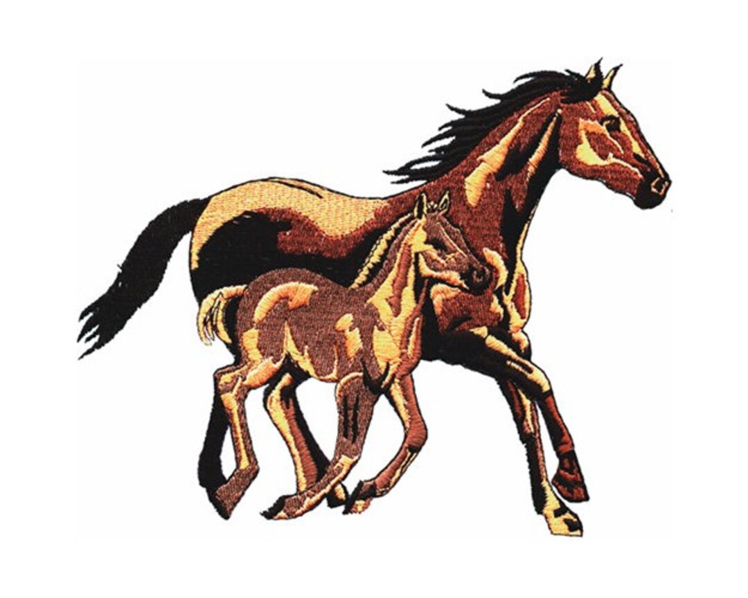 Mare & Colt - Machine Embroidery Design - Etsy