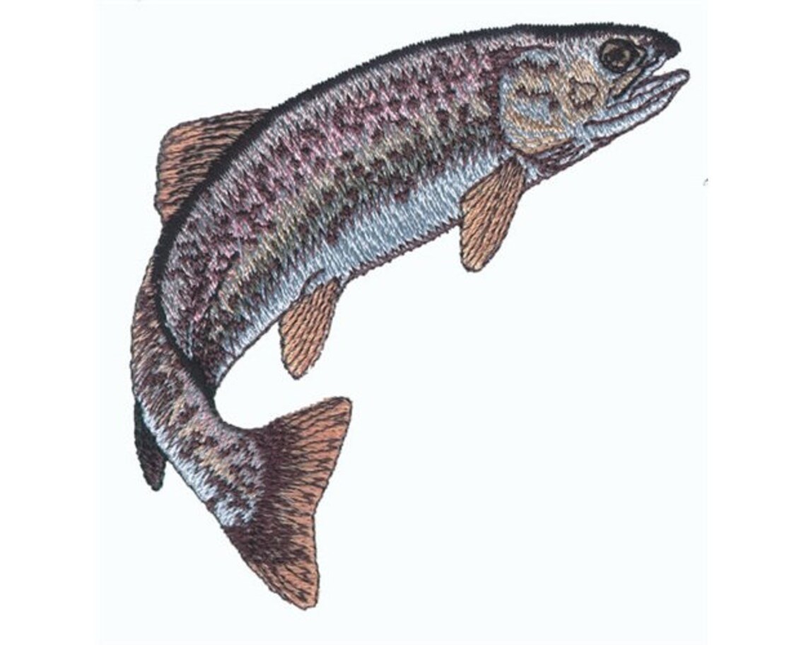 Rainbow Trout - Machine Embroidery Design - Etsy