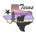 Texas - Machine Embroidery Design - Etsy