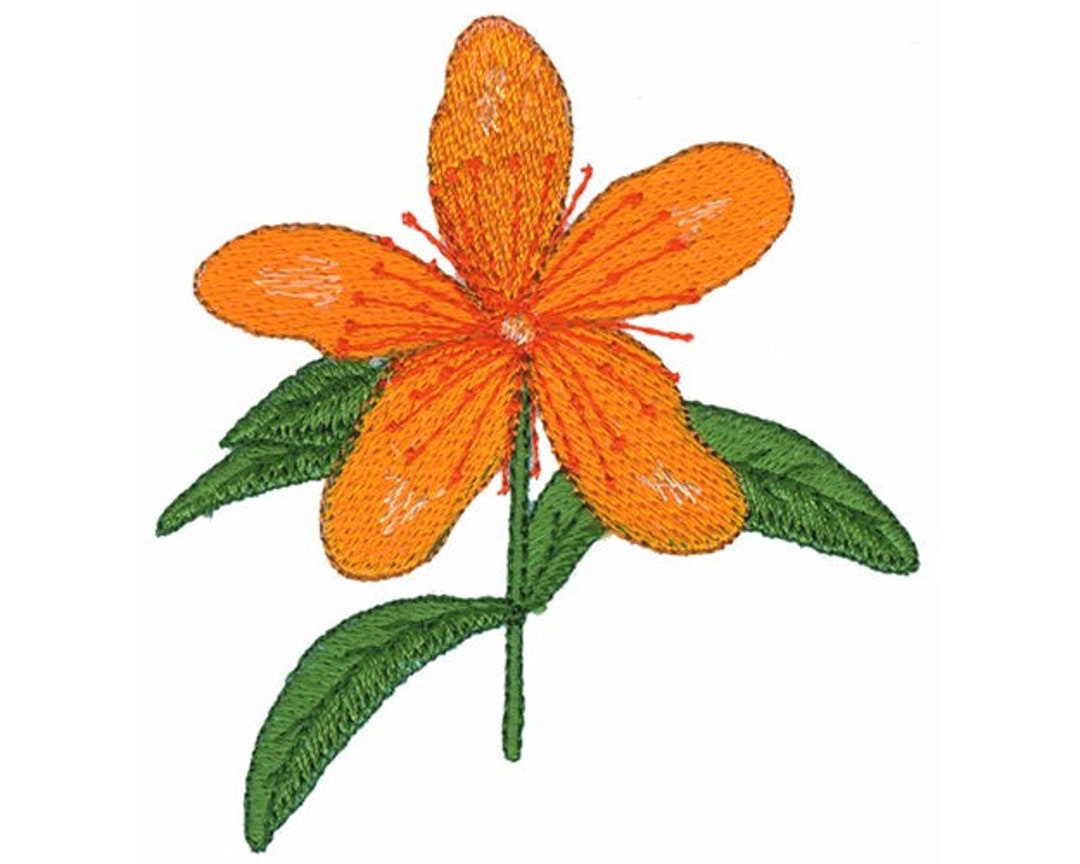 Floral Machine Embroidery Design - Etsy
