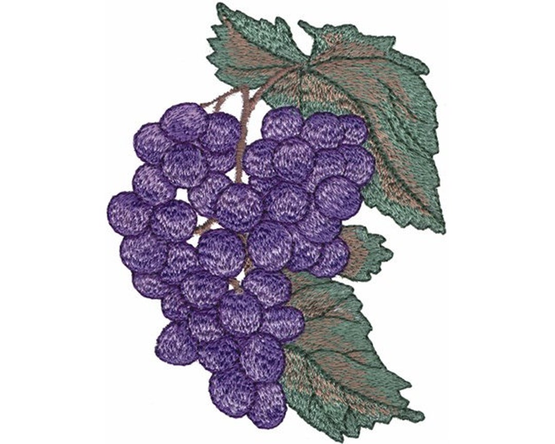 Grapes - Machine Embroidery Design - Etsy