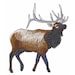 Elk - Machine Embroidery Design - Etsy