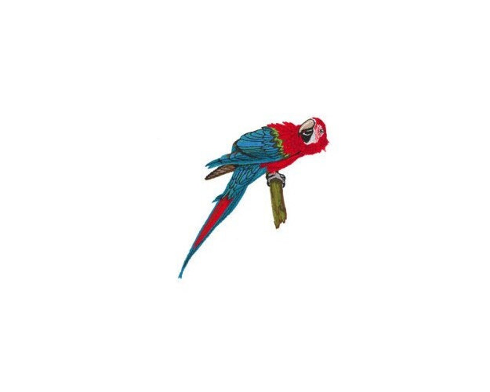 Parrot Machine Embroidery Design - Etsy