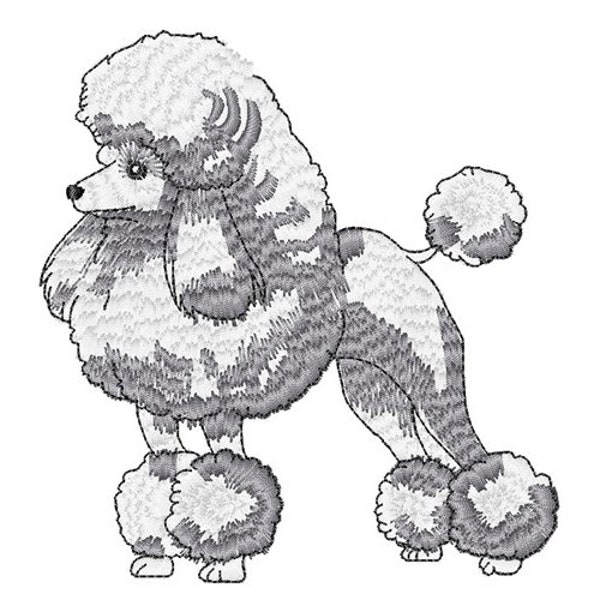 Poodle Embroidery - Etsy