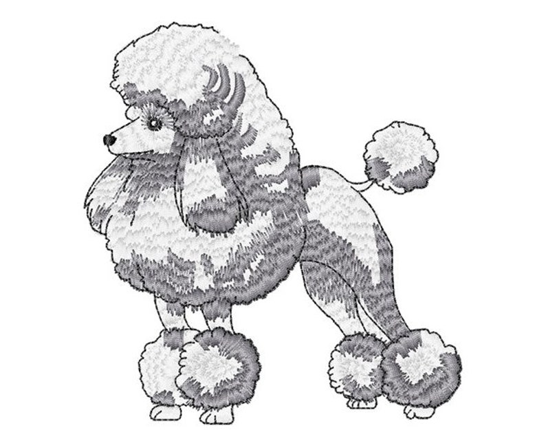 Poodle Machine Embroidery Design - Etsy
