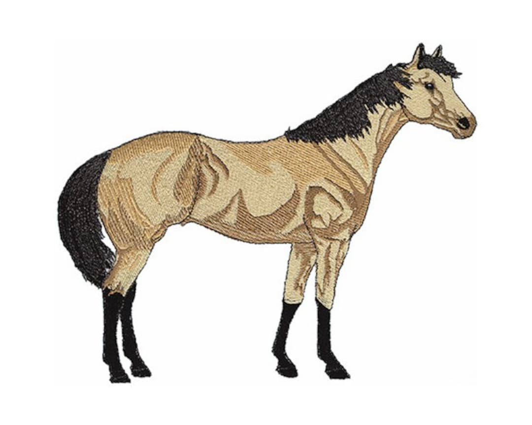 Buckskin Horse - Machine Embroidery Design - Etsy
