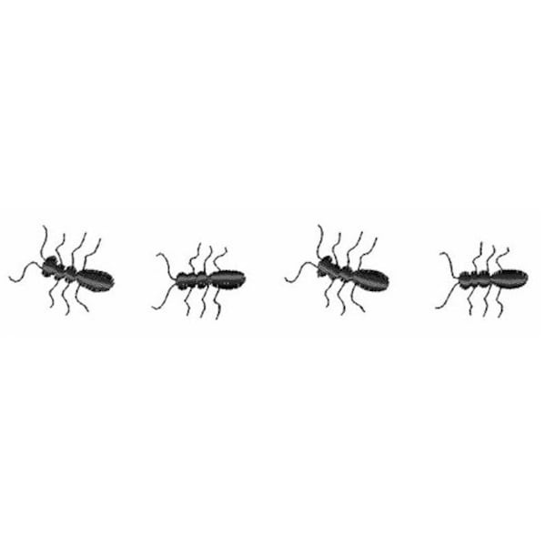 Ants - Etsy