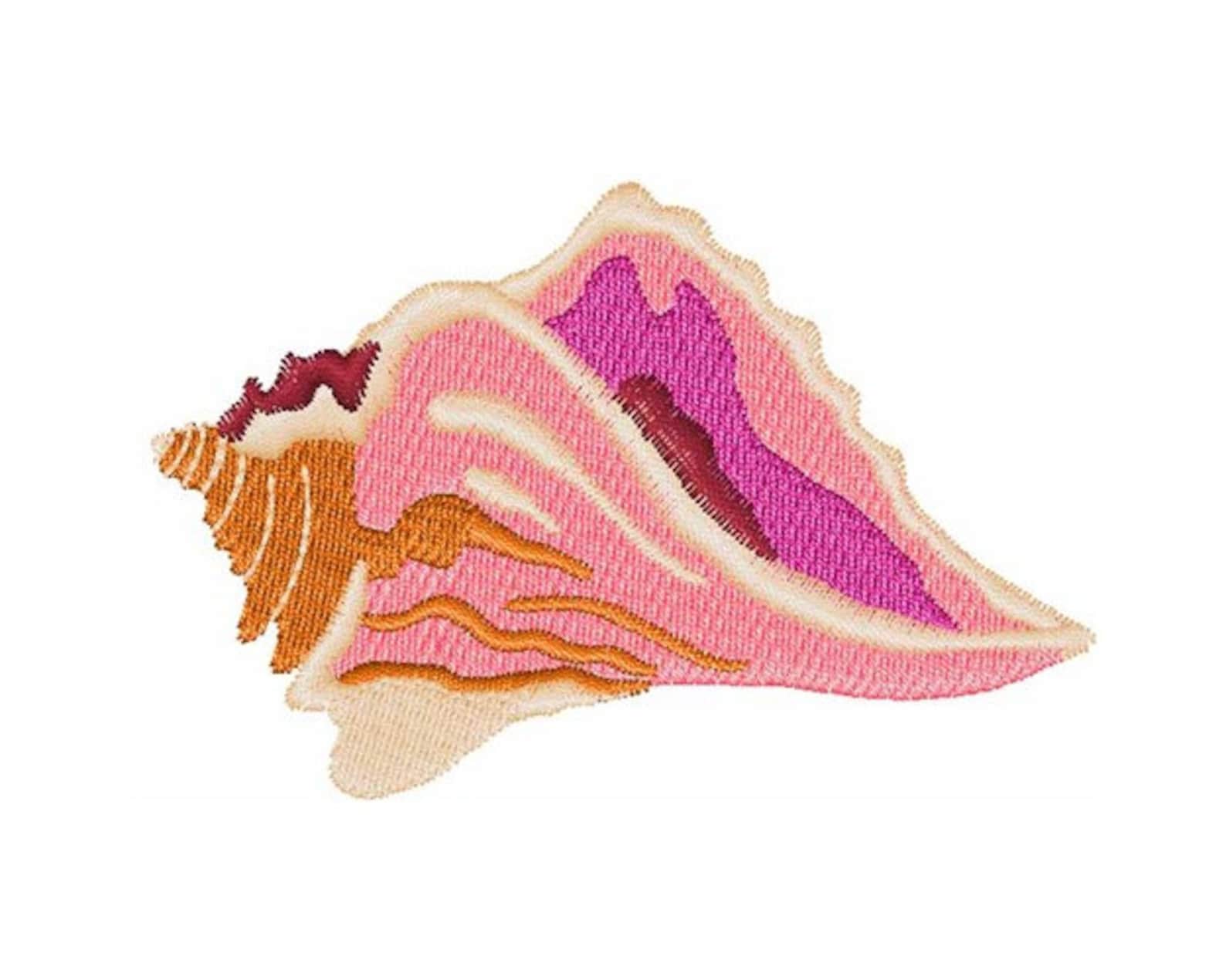Conch Shell - Machine Embroidery Design - Etsy