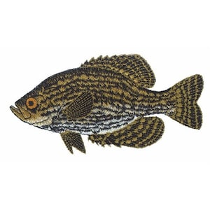 Black Crappie - Machine Embroidery Design - Etsy