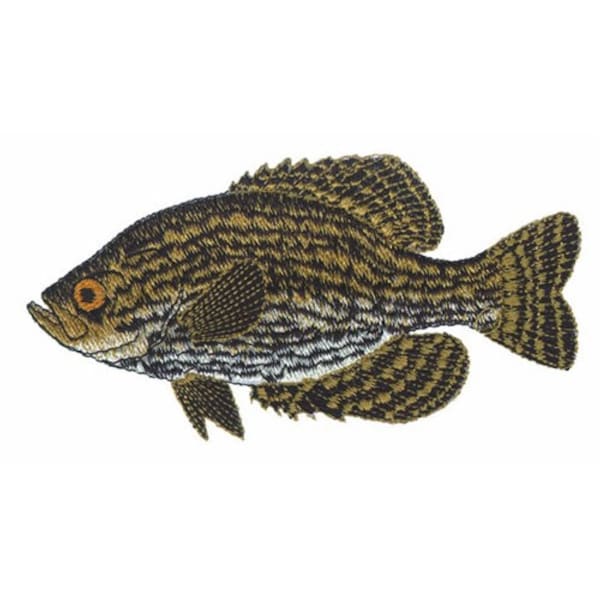 Crappie Embroidery Design - Etsy