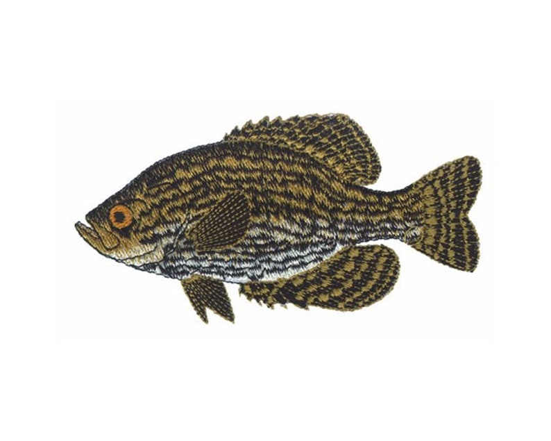 Black Crappie Machine Embroidery Design - Etsy