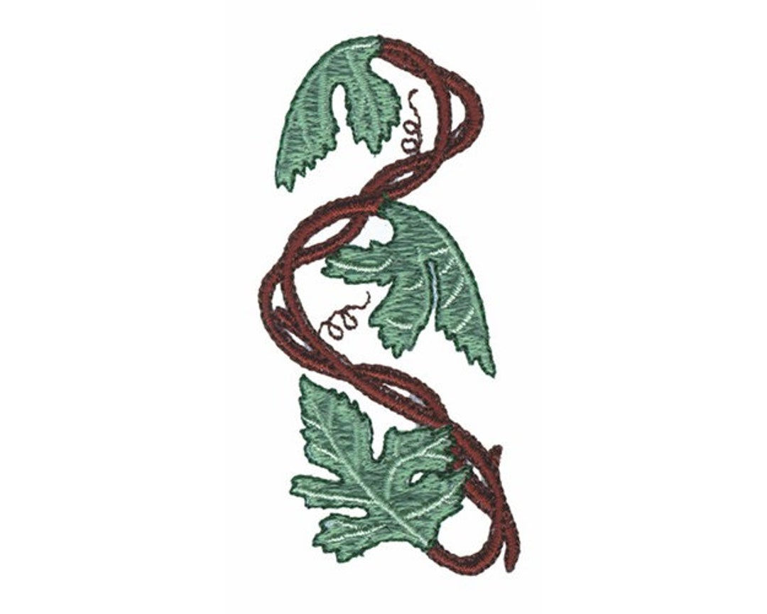 Grape Vine - Machine Embroidery Design - Etsy