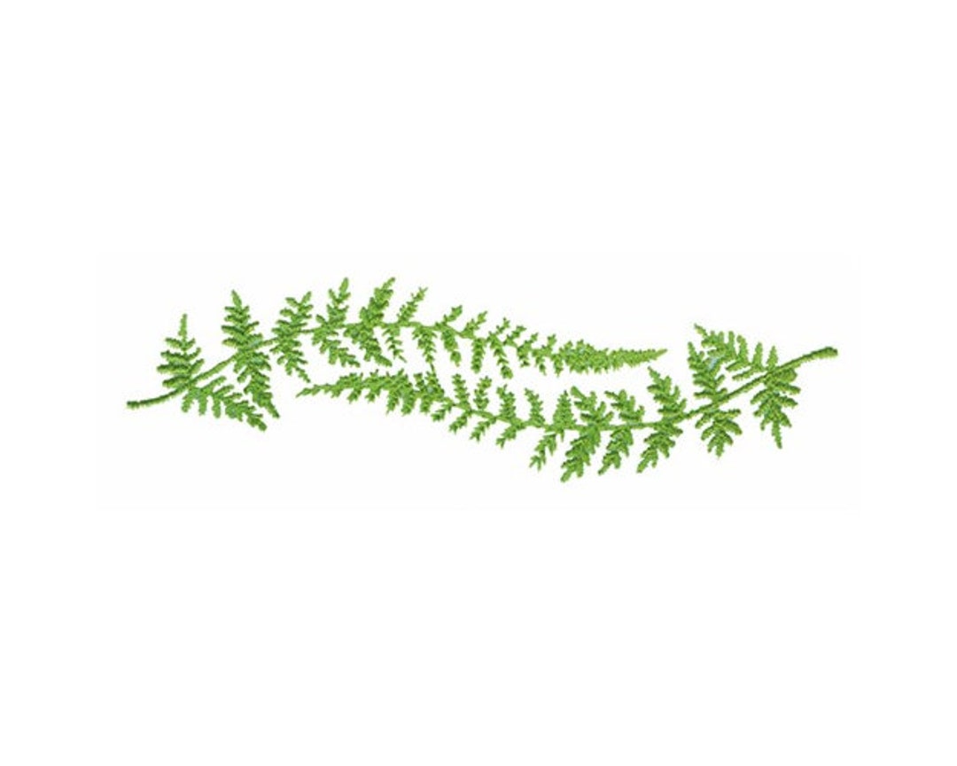Fern - Machine Embroidery Design - Etsy