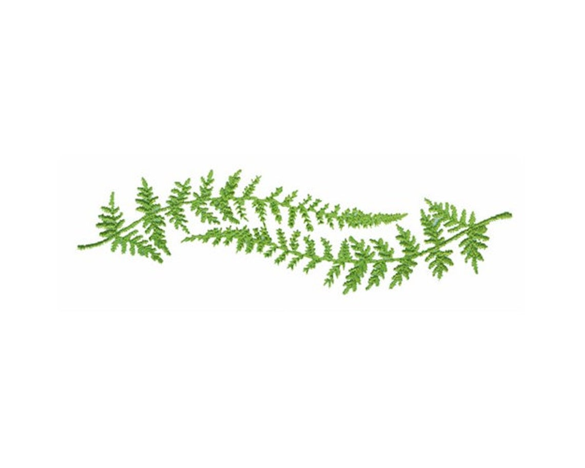 Fern Machine Embroidery Design - Etsy