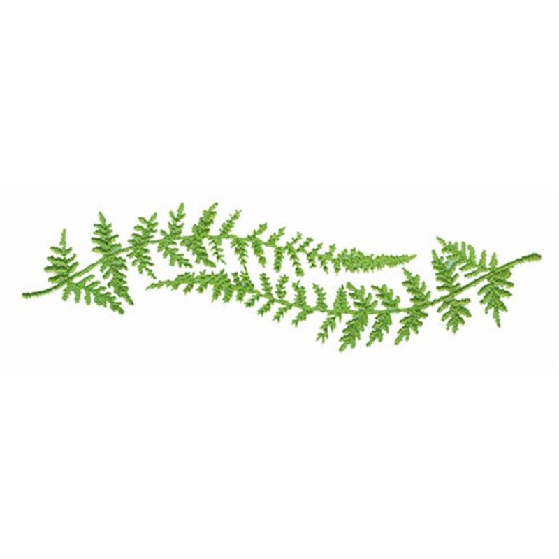 Fern Embroidery - Etsy