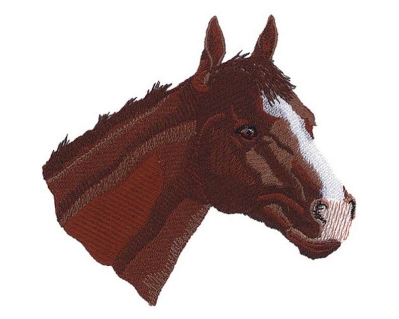 Horse Head - Machine Embroidery Design - Etsy