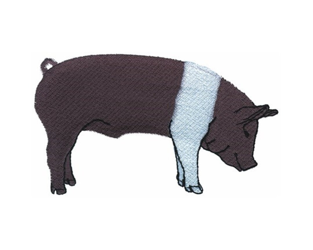 Pig - Machine Embroidery Design - Etsy