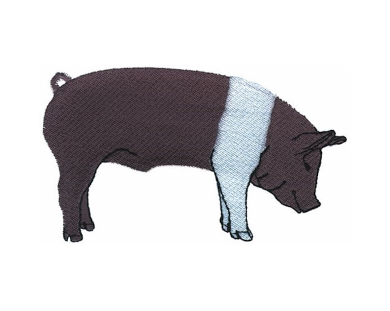 Pig - Machine Embroidery Design - Etsy