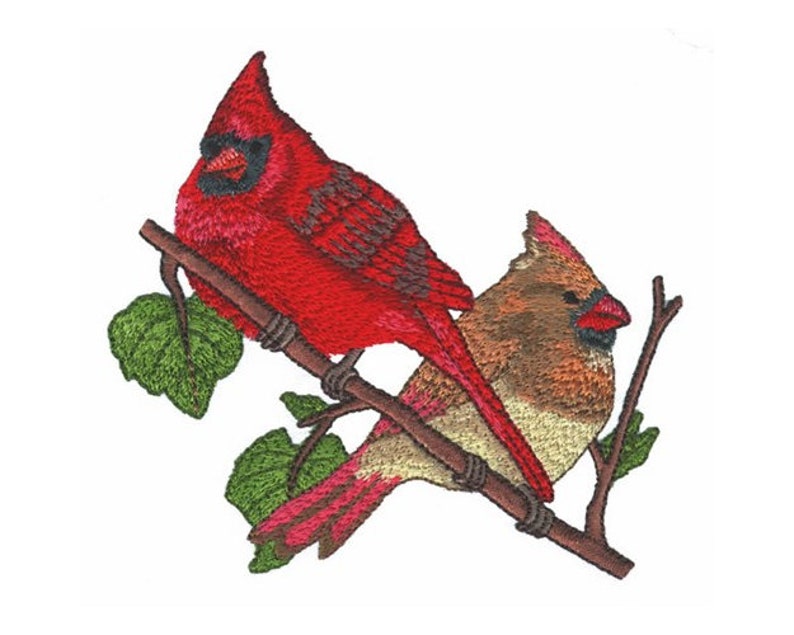 Cardnals Machine Embroidery Design - Etsy