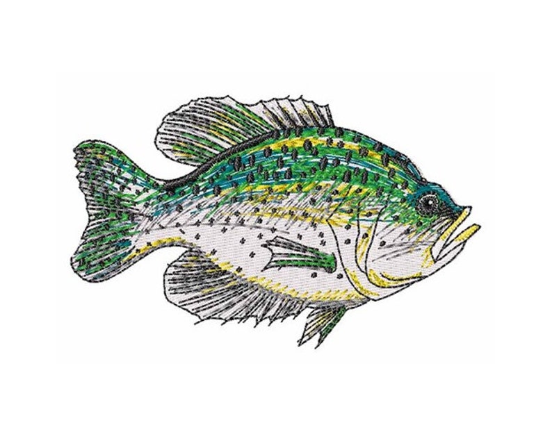 Crappie Fish Machine Embroidery Design - Etsy