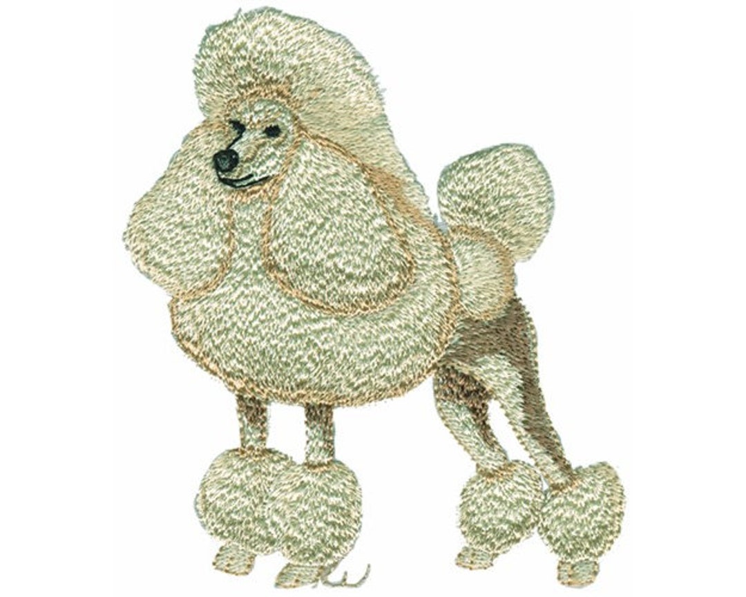 Toy Poodle Machine Embroidery Design - Etsy