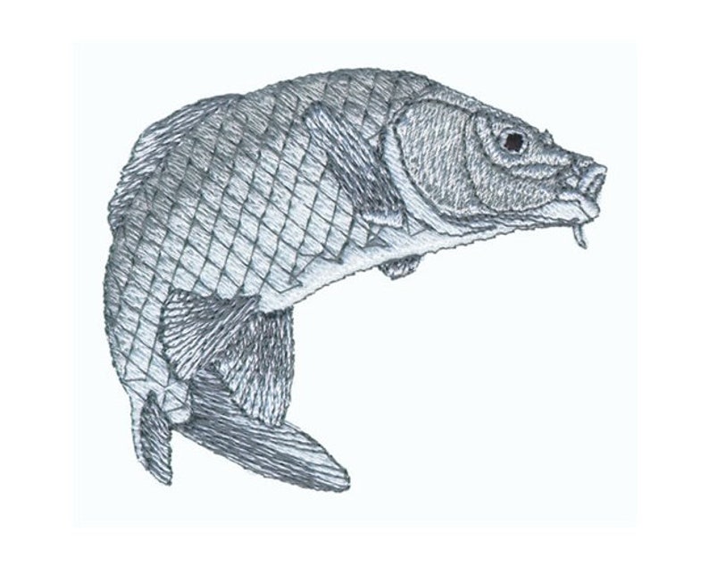Common Carp - Machine Embroidery Design - Etsy