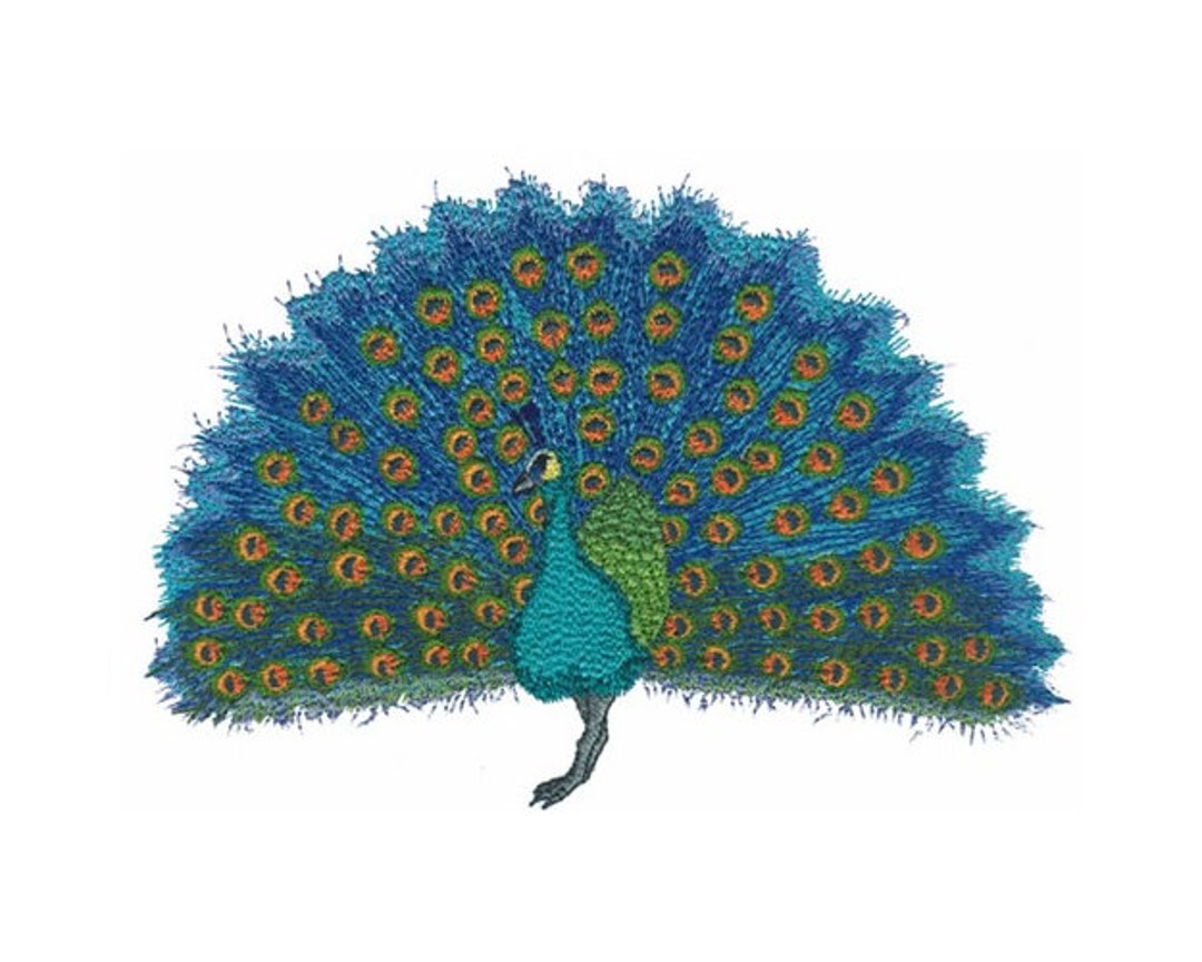 Peacock - Machine Embroidery Design - Etsy