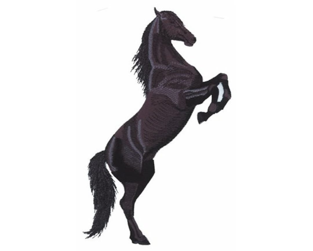 Horse - Machine Embroidery Design - Etsy