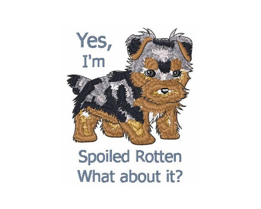 Spoiled Rotten Yorkie Machine Embroidery Design - Etsy