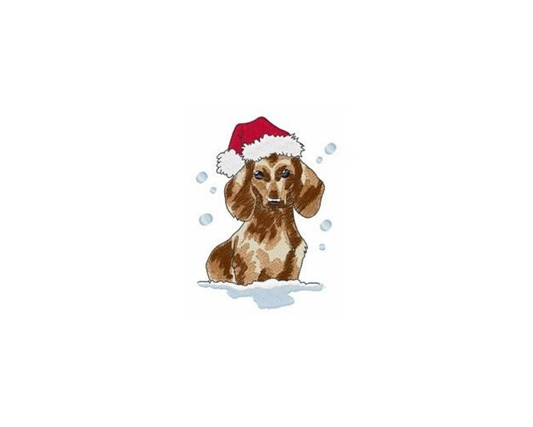Dachshund in Snow - Machine Embroidery Design - Etsy